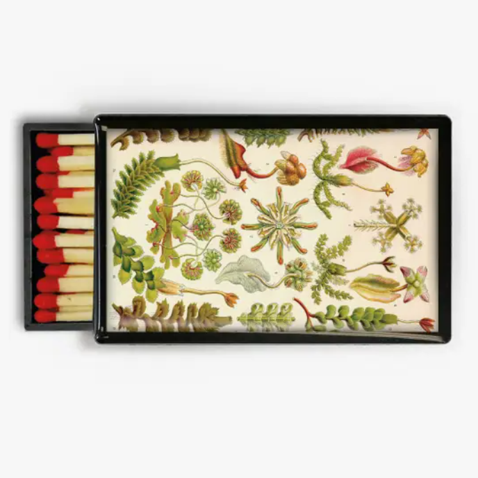 Slide Match Box - Botanical Print Flowers | Urben Gifts & Gadgets